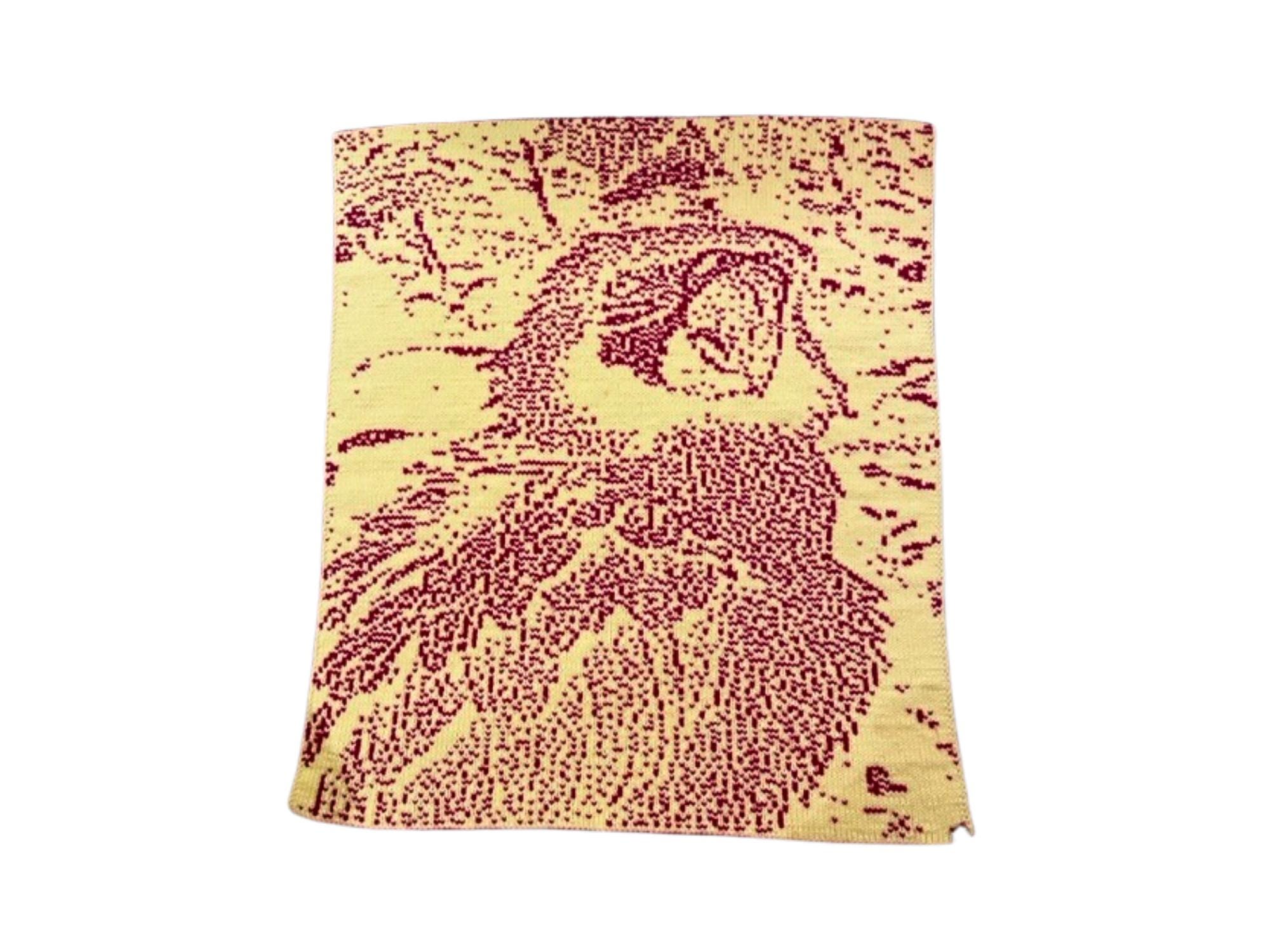 Parrot Baby Blanket Knitting Pattern: Double Knit Afghan (PDF Download ...