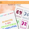 Number Flash Cards 1-100, Count to 100, Preschool Counting Flash Cards ...