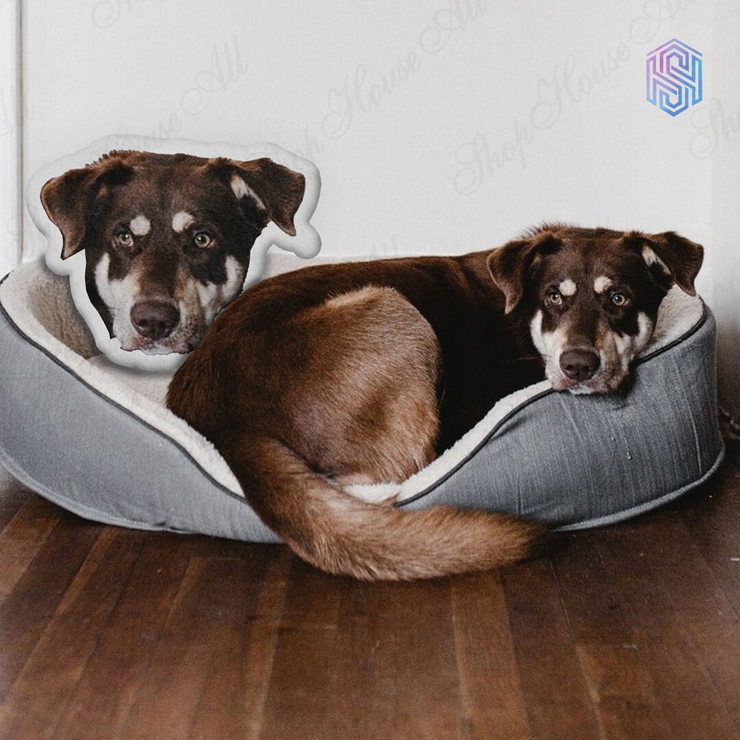 Custom Dog Photo Pillow, 3D Pet Pillow From Photo, Personalized Animal ...