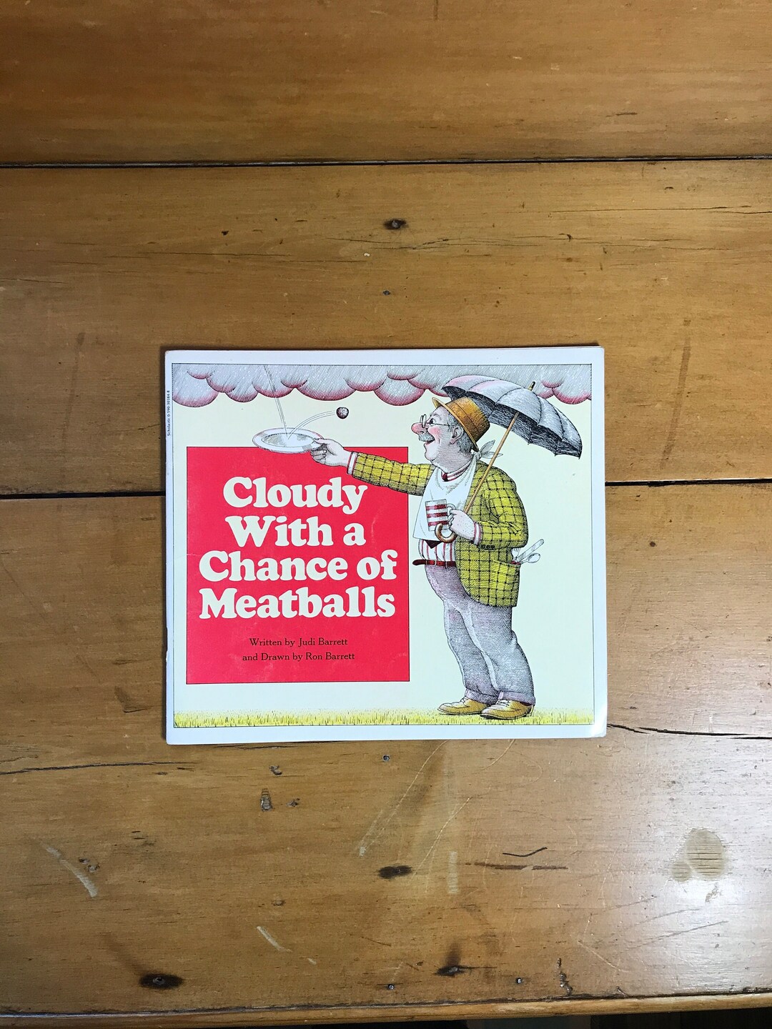 Cloudy With a Chance of Meatballs Written by Judi Barrett and - Etsy
