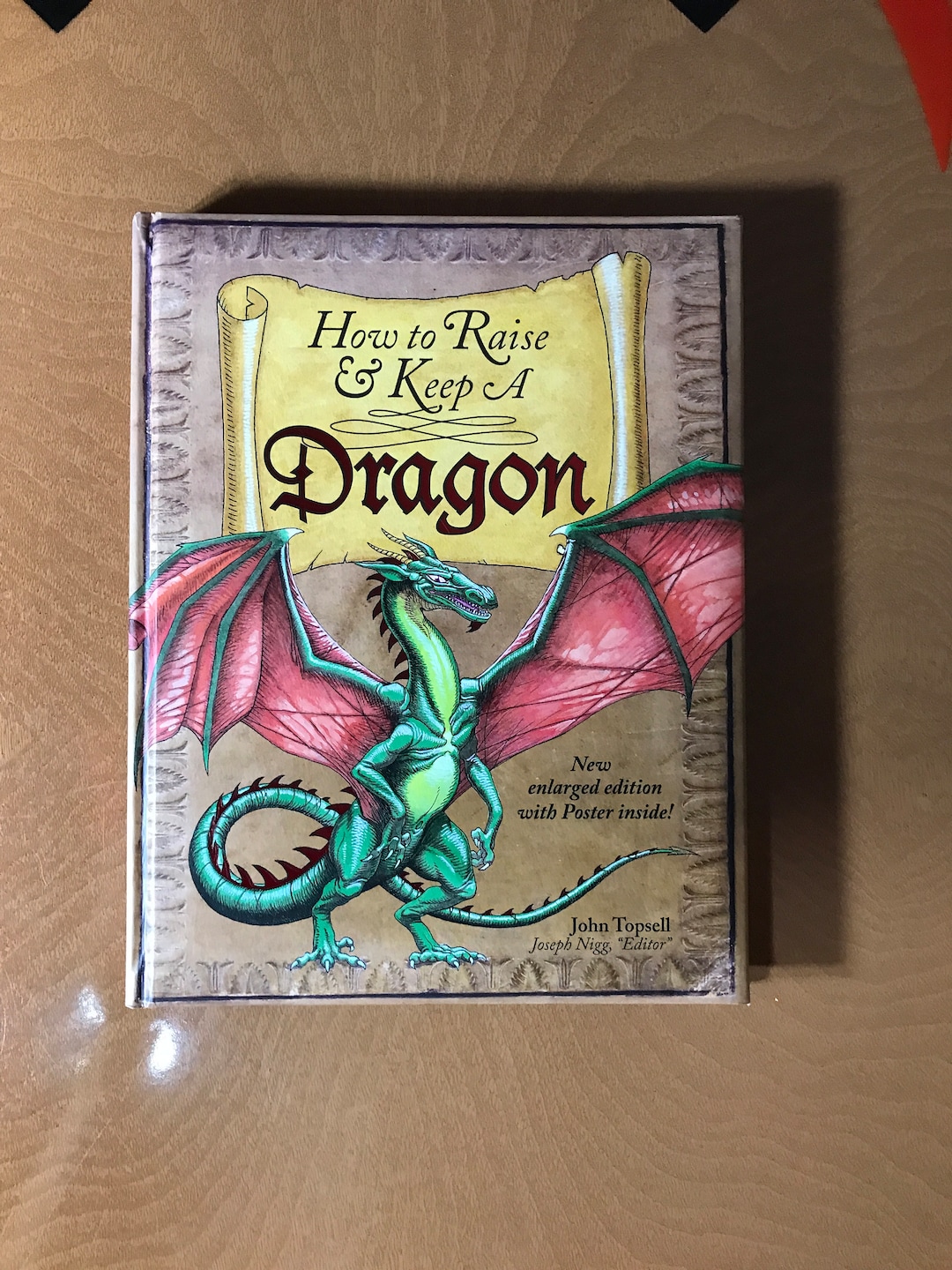 How to Raise and Keep a Dragon New Enlarged Edition W/ - Etsy