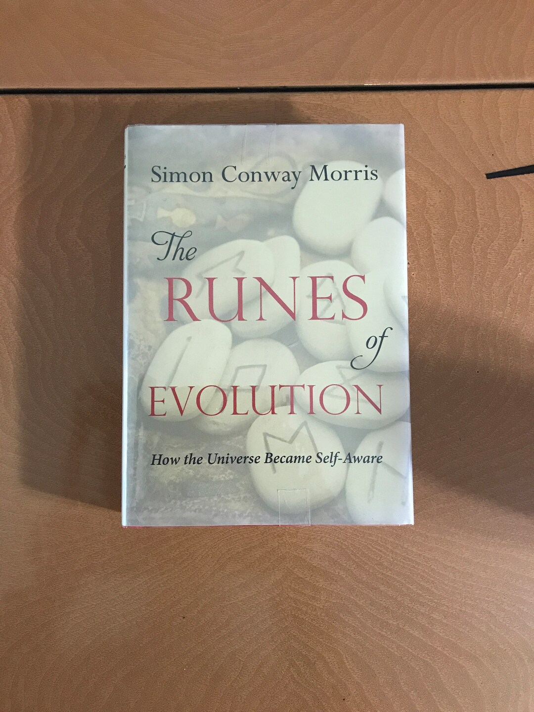 The Runes of Evolution How the Universe Became Self-aware: - Etsy