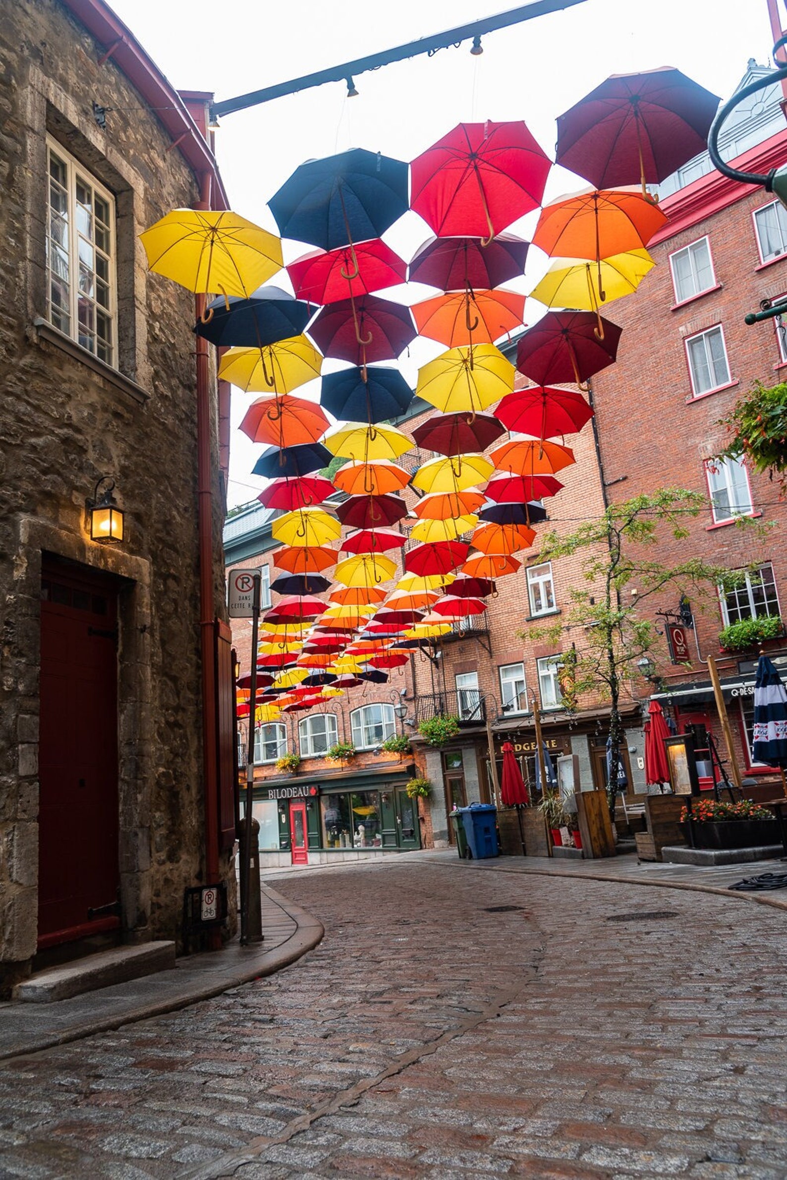 Colorful Umbrellas in Petit Champlain Street Quebec City Canada ...