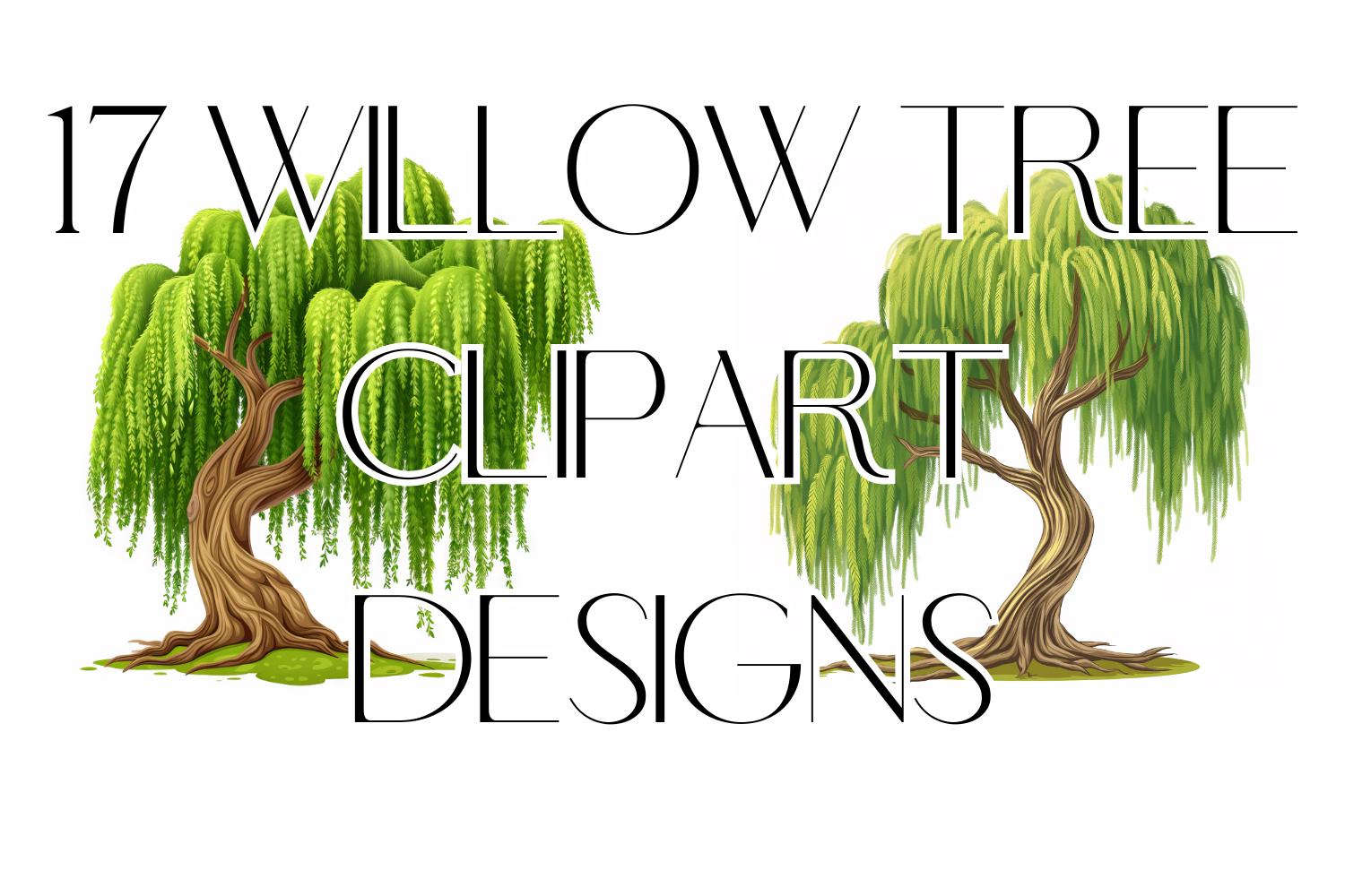 Clipart Illustrated Willow Tree, 16 Variations, Transparent Background ...