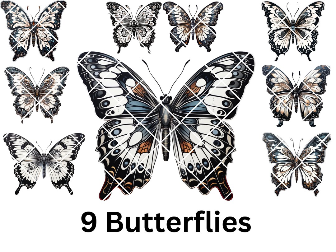 9 Butterfly & Moth Clipart – Transparent Backgrounds - Etsy