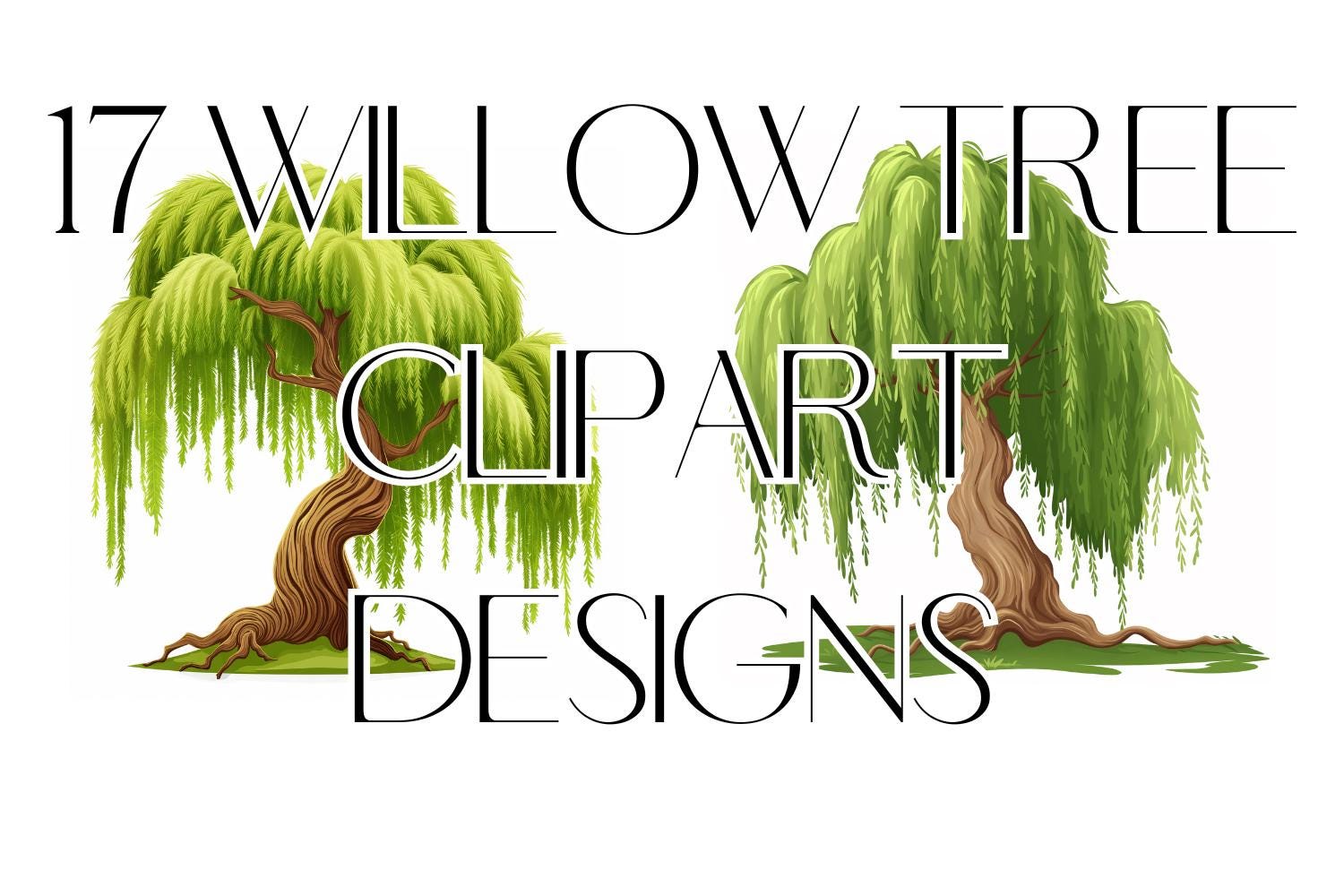 Clipart Illustrated Willow Tree, 16 Variations, Transparent Background ...