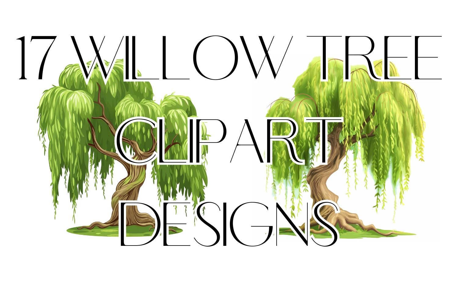 Clipart Illustrated Willow Tree, 16 Variations, Transparent Background ...