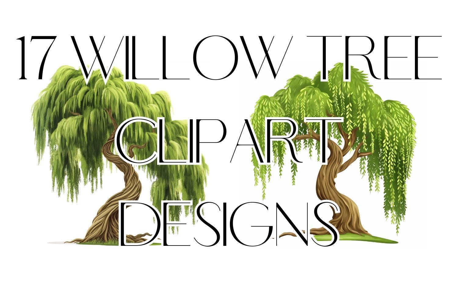Clipart Illustrated Willow Tree, 16 Variations, Transparent Background ...