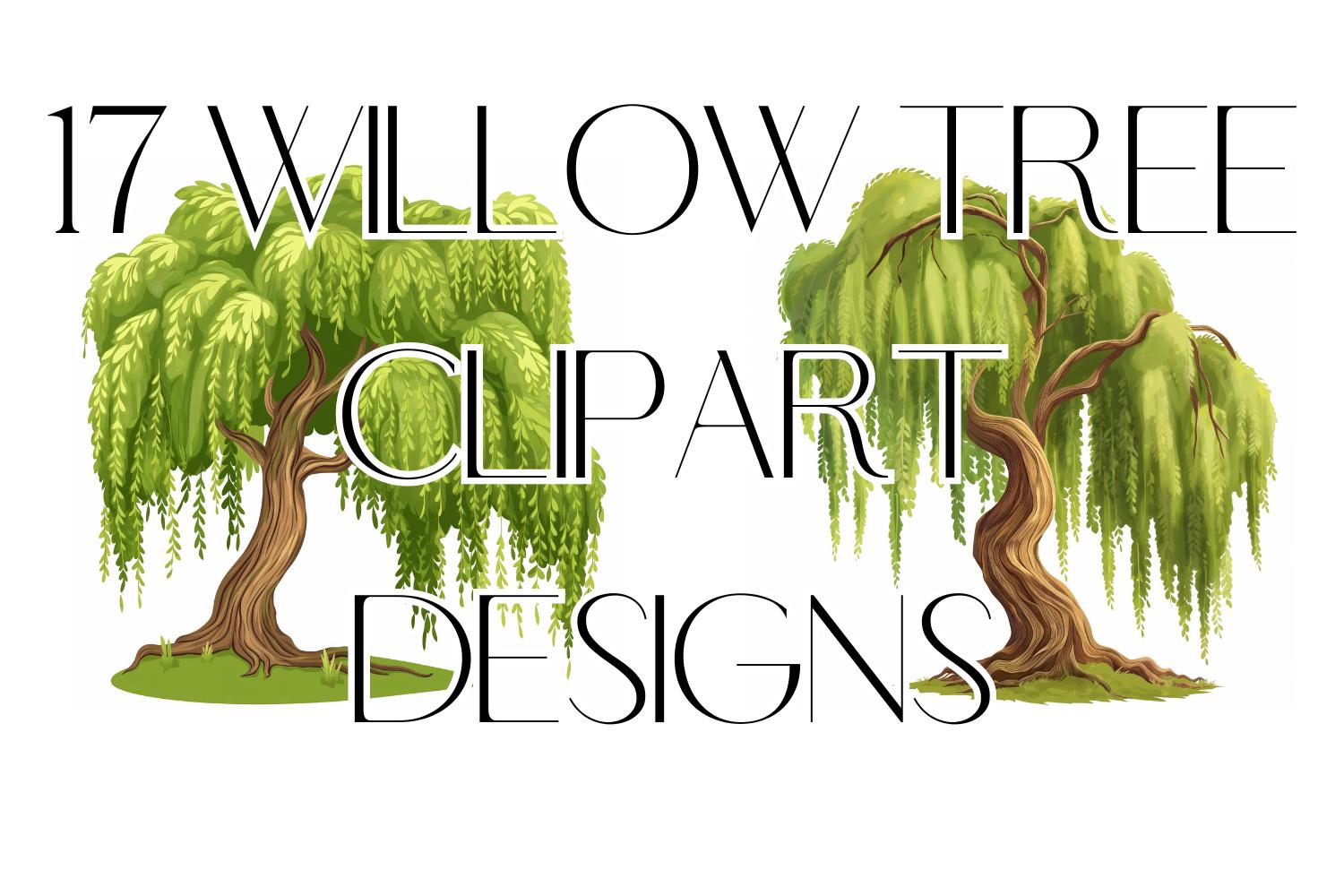 Clipart Illustrated Willow Tree, 16 Variations, Transparent Background ...