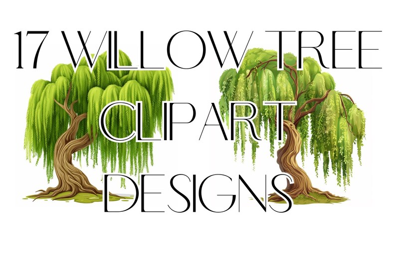 Clipart Illustrated Willow Tree, 16 Variations, Transparent Background ...