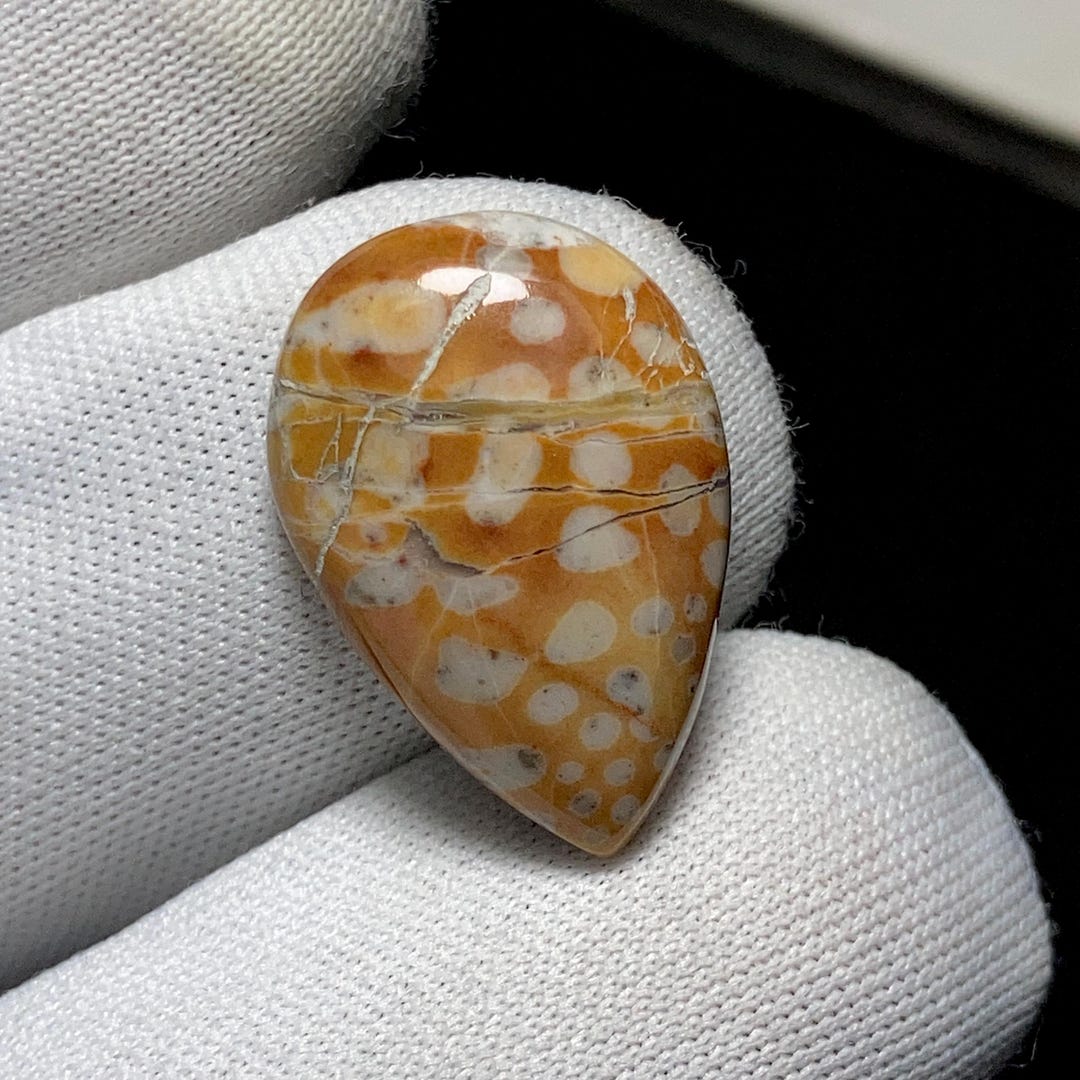 Unique Deer Fawn Jasper Cabochon, Earthly Gemstone of Gentleness ...