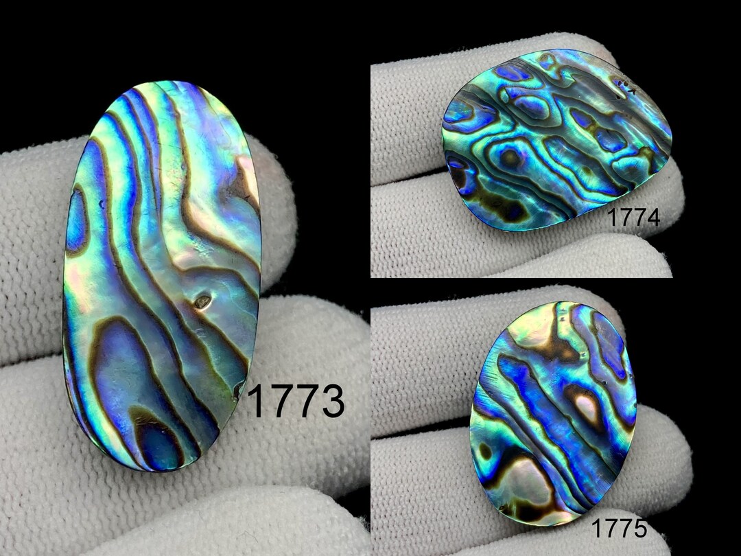Abalone Shell Cabochons, Natural Semi Precious Gemstone for Jewelry ...