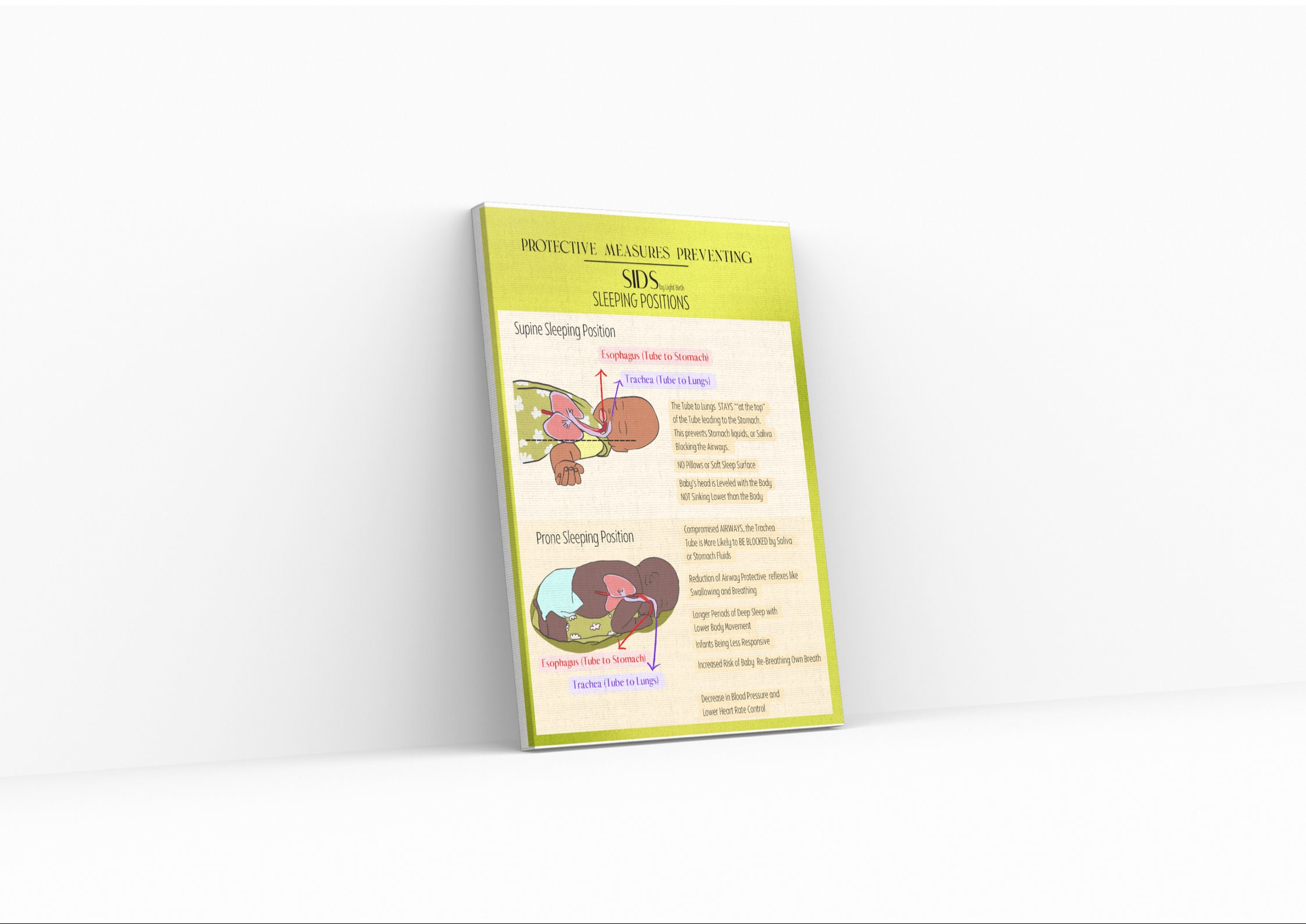 Safe Sleep Handout, Baby Safe Sleep Poster Preventing SIDS, DIGITAL ...