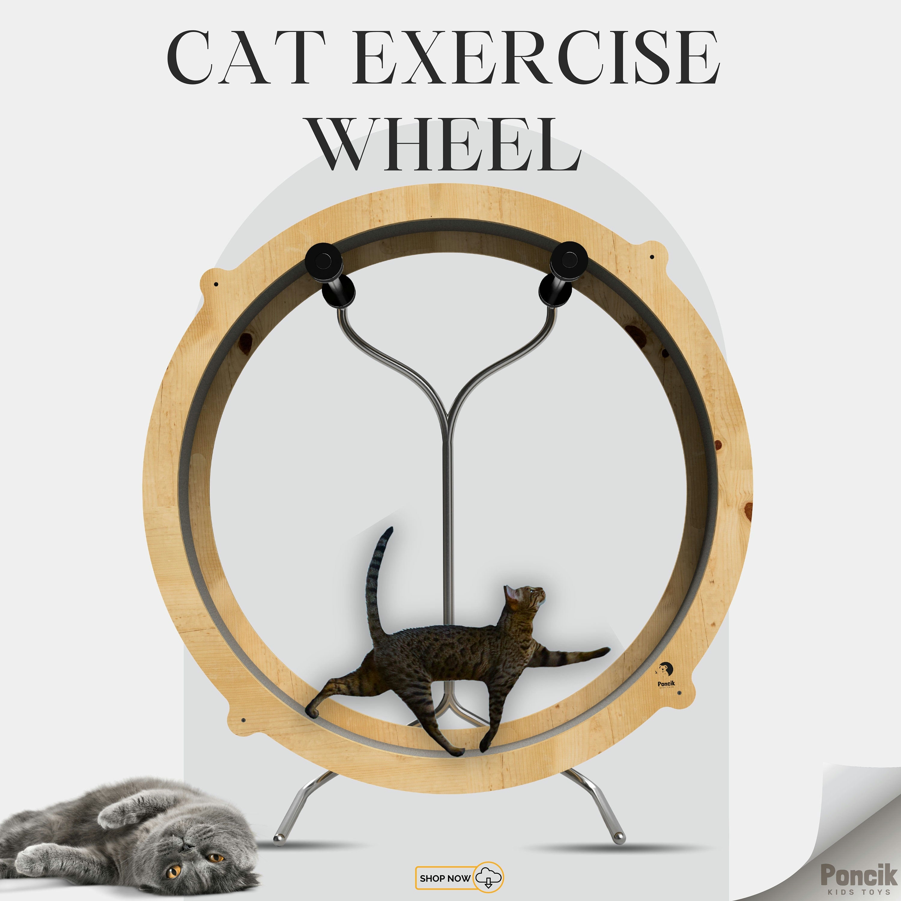 Cat Running Wheel Digital Plan-cat Exercise Wheel–running, Spinning and ...