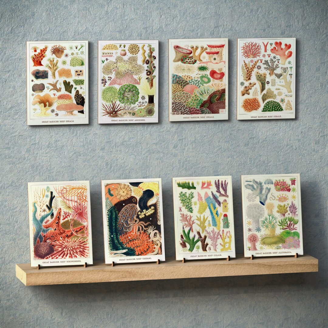 Great Barrier Reef Decorative Ceramic Tiles - Vintage Coral Sea ...