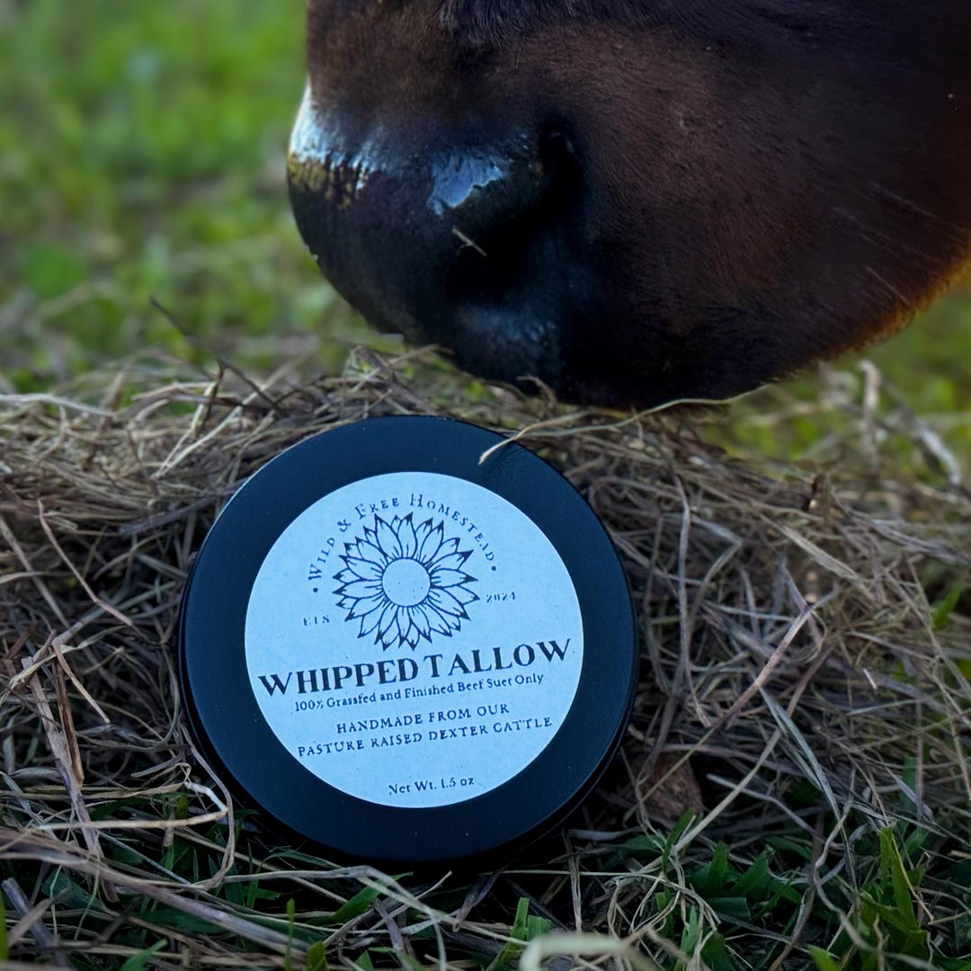 100% Suet Whipped Tallow From Our Pasture Raised Dexter Cows - Etsy