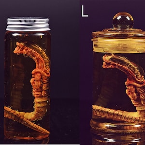 Alien Jar Xenomorph Specimen Facehugger Embryo Glass Jar Movie Prop ...
