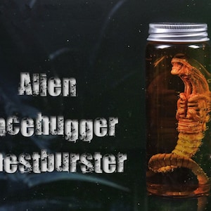 Alien Jar Xenomorph Specimen Facehugger Embryo Glass Jar Movie Prop ...