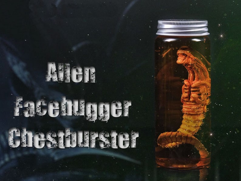 Alien Jar Xenomorph Specimen Facehugger Embryo Glass Jar Movie - Etsy UK