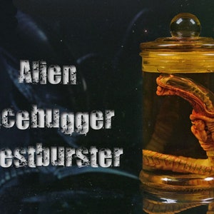 Alien Jar Xenomorph Specimen Facehugger Embryo Glass Jar Movie Prop ...