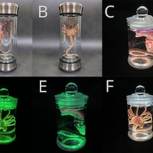 Alien Jar Xenomorph Specimen Facehugger Embryo Glass Jar Movie Prop ...