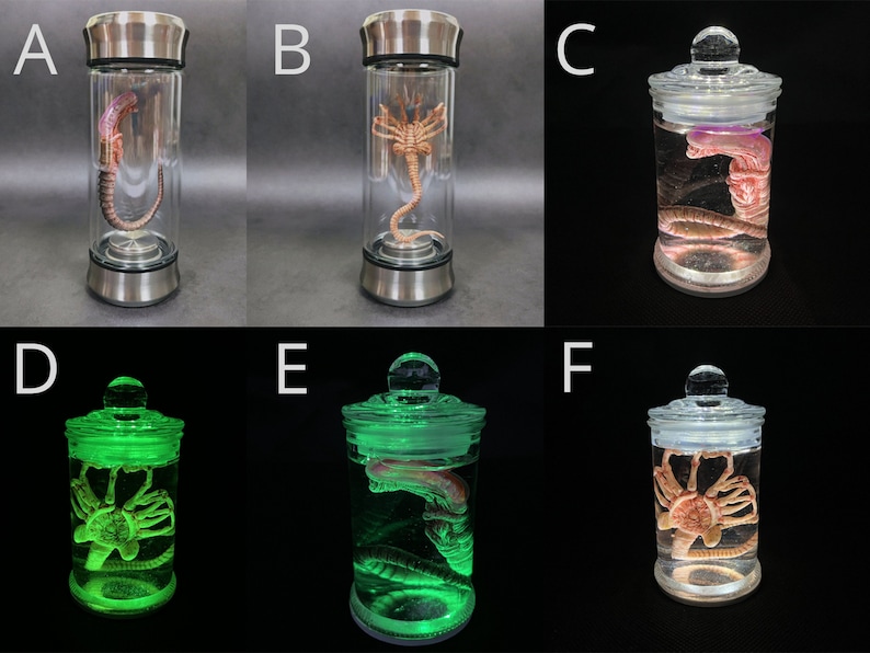 Alien Jar Xenomorph Specimen Facehugger Embryo Glass Jar Movie - Etsy UK