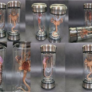Alien Jar Xenomorph Specimen Facehugger Embryo Glass Jar Movie Prop ...