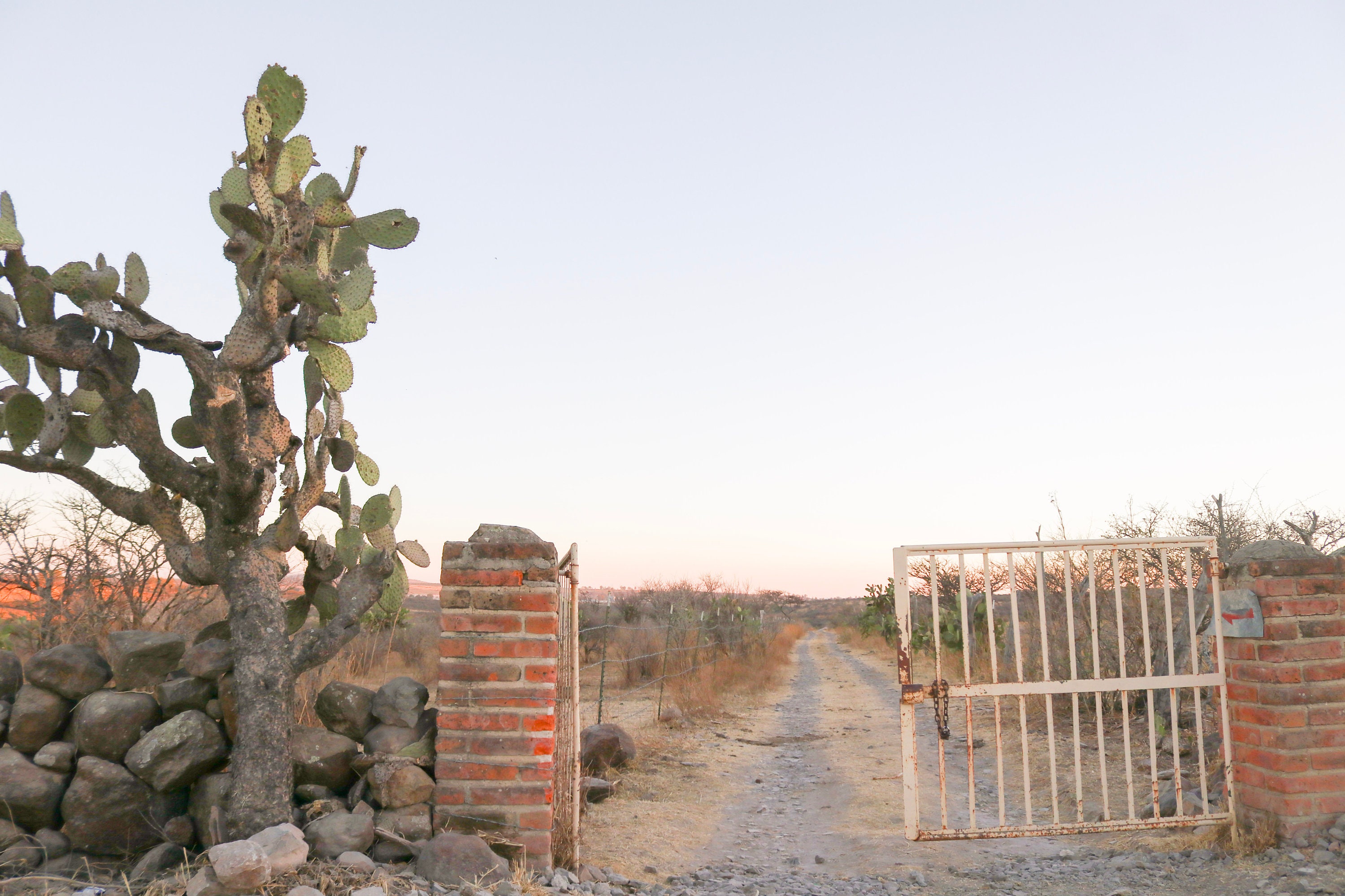Mexico Wall Art- Rancho Pajaritos - Pajaritos Mexican Ranch - Landscape ...