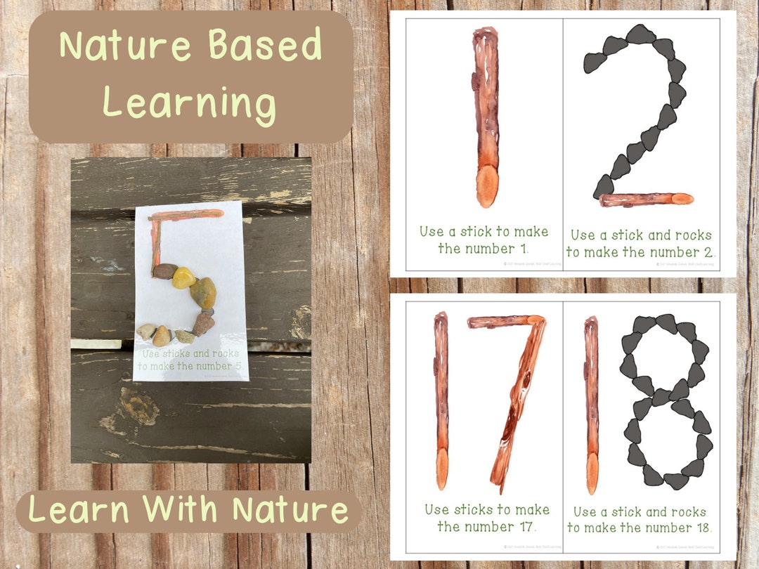Number Activity Cards, 1-20, Nature Based Learning, Preschool ...