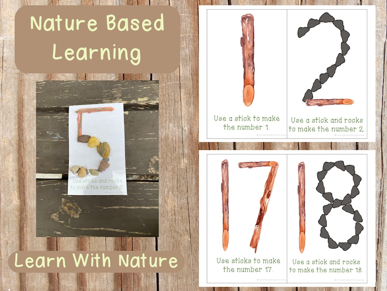 Number Activity Cards, 1-20, Nature Based Learning, Preschool ...