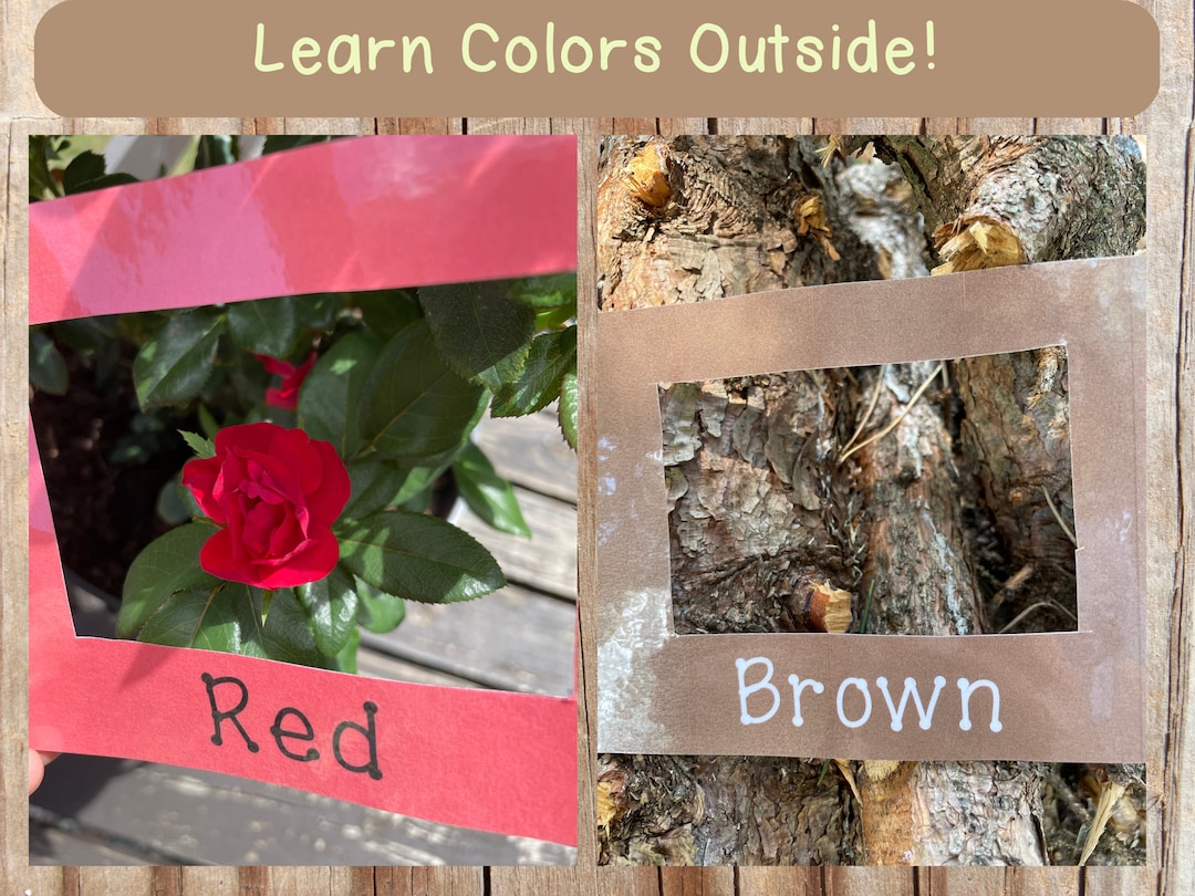 Nature Color Viewers for Color Hunt, Color Matching and Identification ...