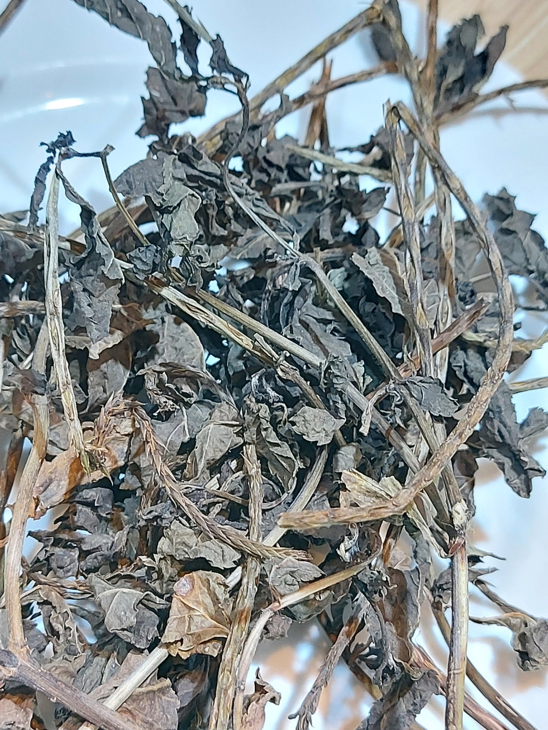 100% Organic Blue Vervain Dried Leaves and Stems country of Origin ...