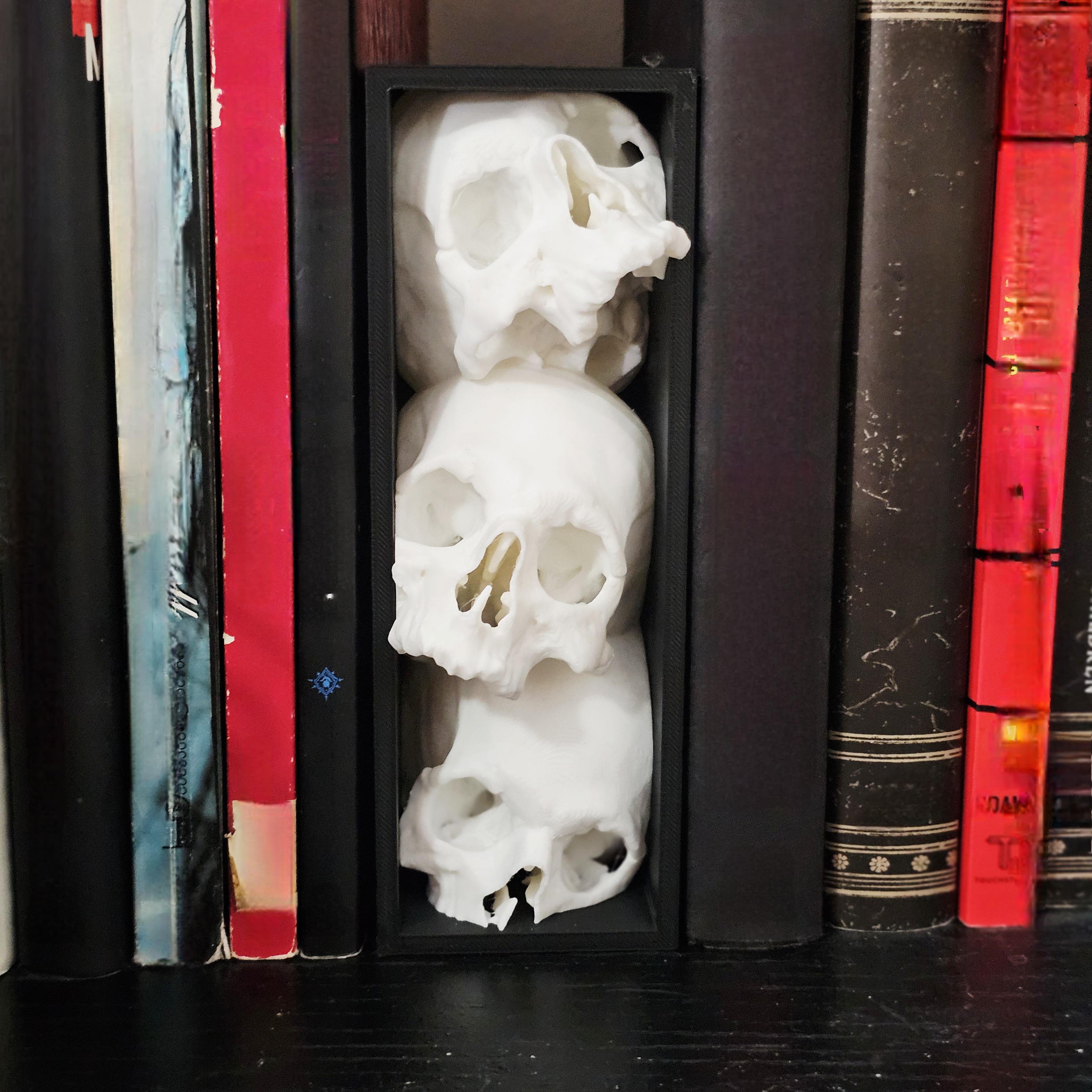 Skull Book Nook, Gothic Bookshelf Decor, Book End for Skull Lover ...