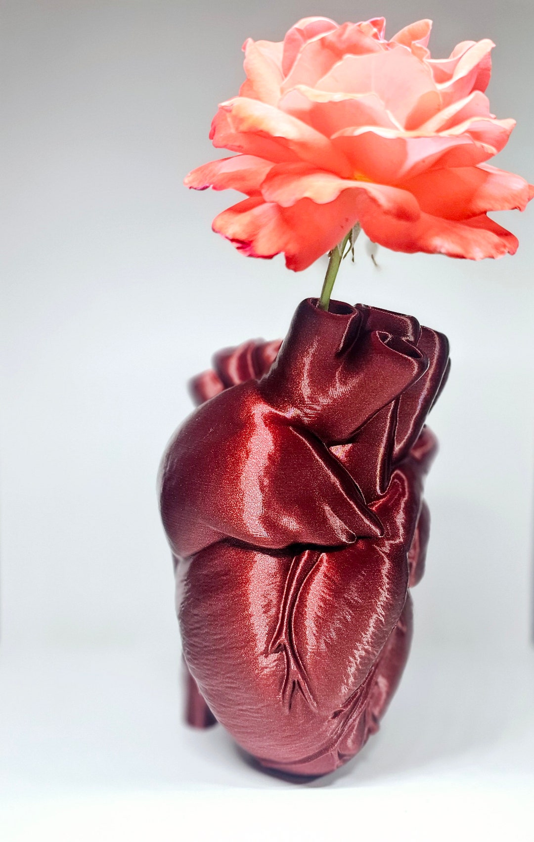 Anatomical Heart Vase, Gothic Flower Vase, Realistic Human Heart Decor ...