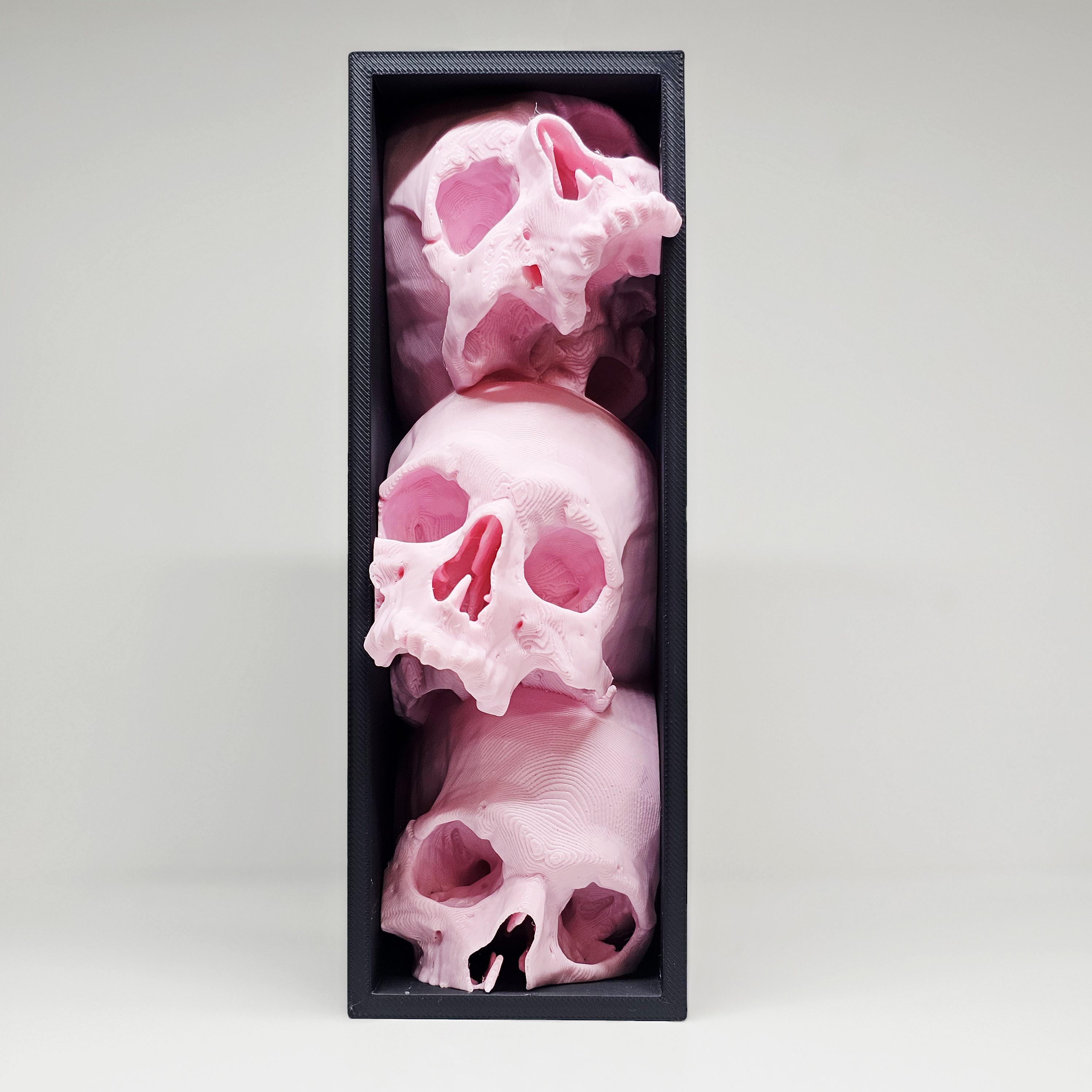 Skull Book Nook, Gothic Bookshelf Decor, Book End for Skull Lover ...