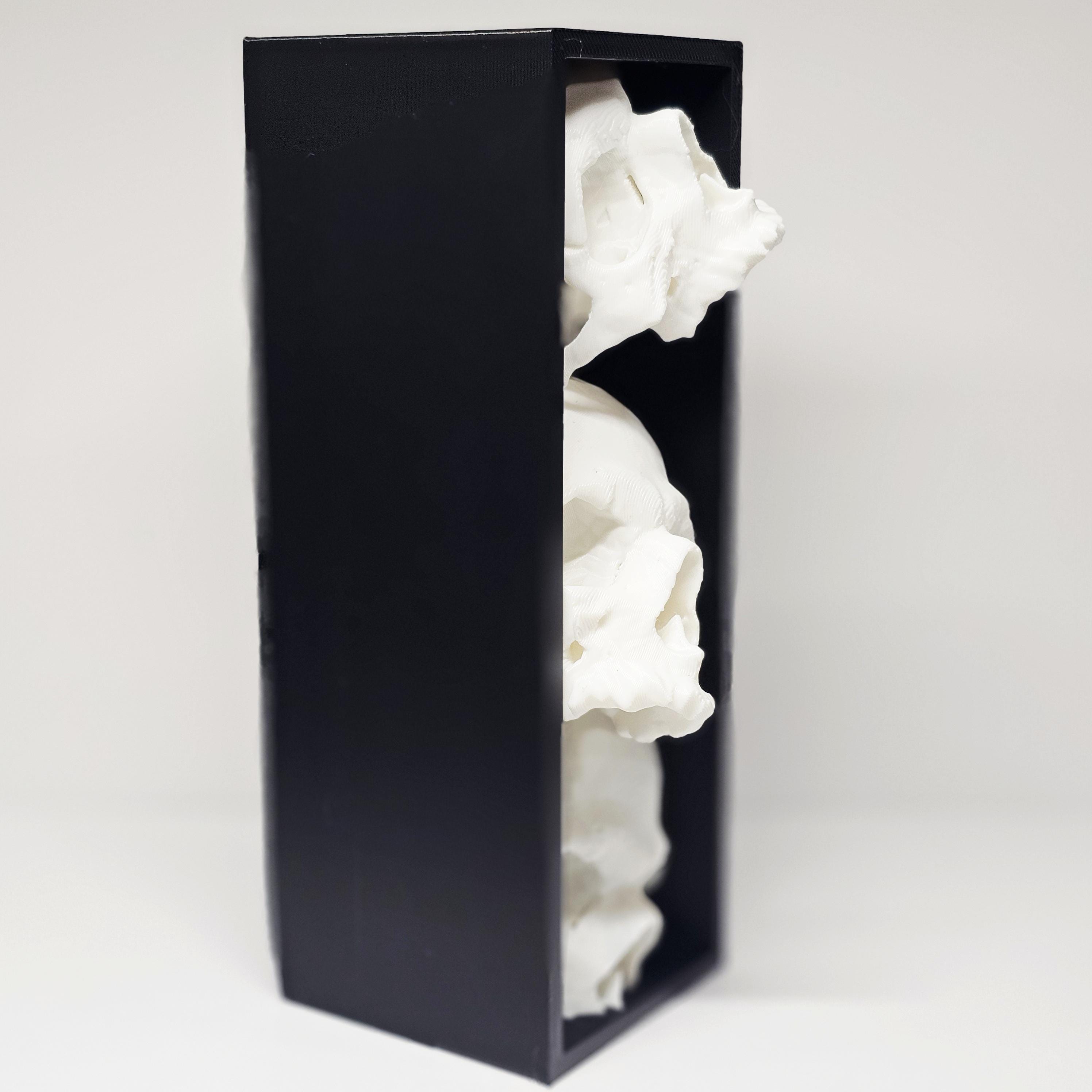 Skull Book Nook, Gothic Bookshelf Decor, Book End for Skull Lover ...