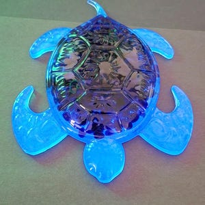 Glow in the Dark Turtle, Desk Decor, Paperweight - Etsy