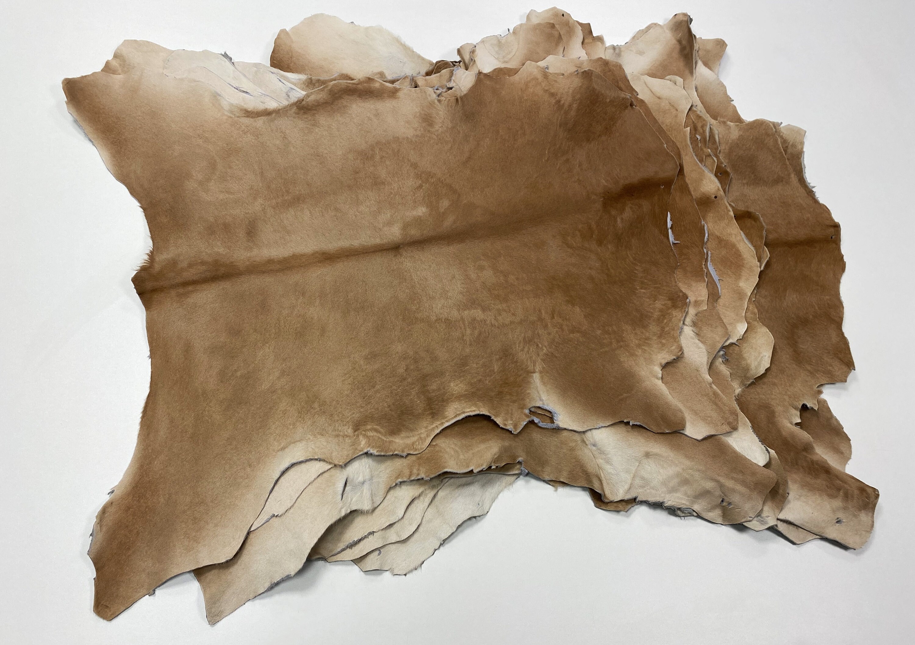 Natural Hair on Leather Italian Cavallino, Craft Leather High-quality ...