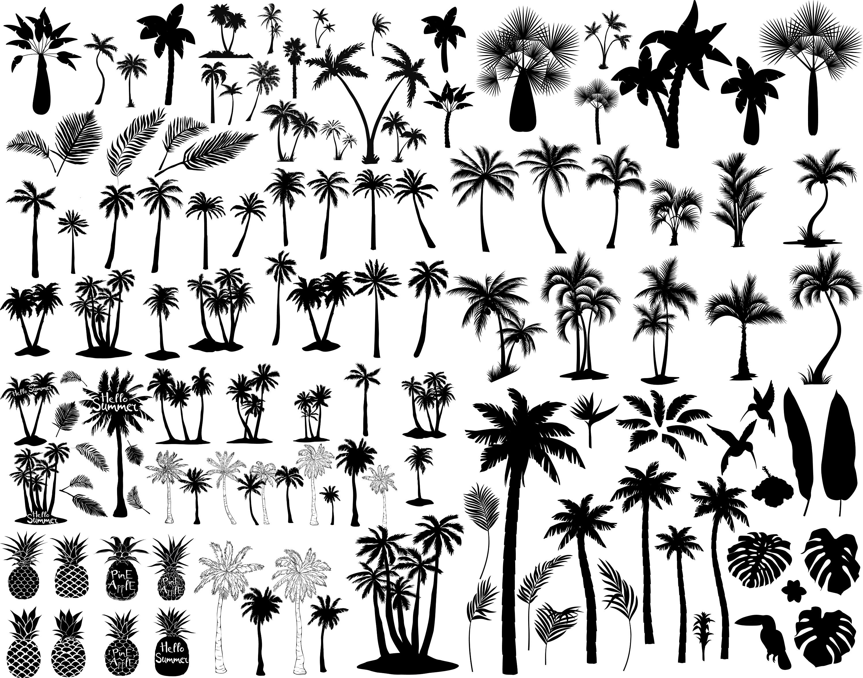 Palm Tree SVG Bundle, Palm Tree Silhouette, Palm Tree Cut Files, Palm Tree Clipart , Tropical ...