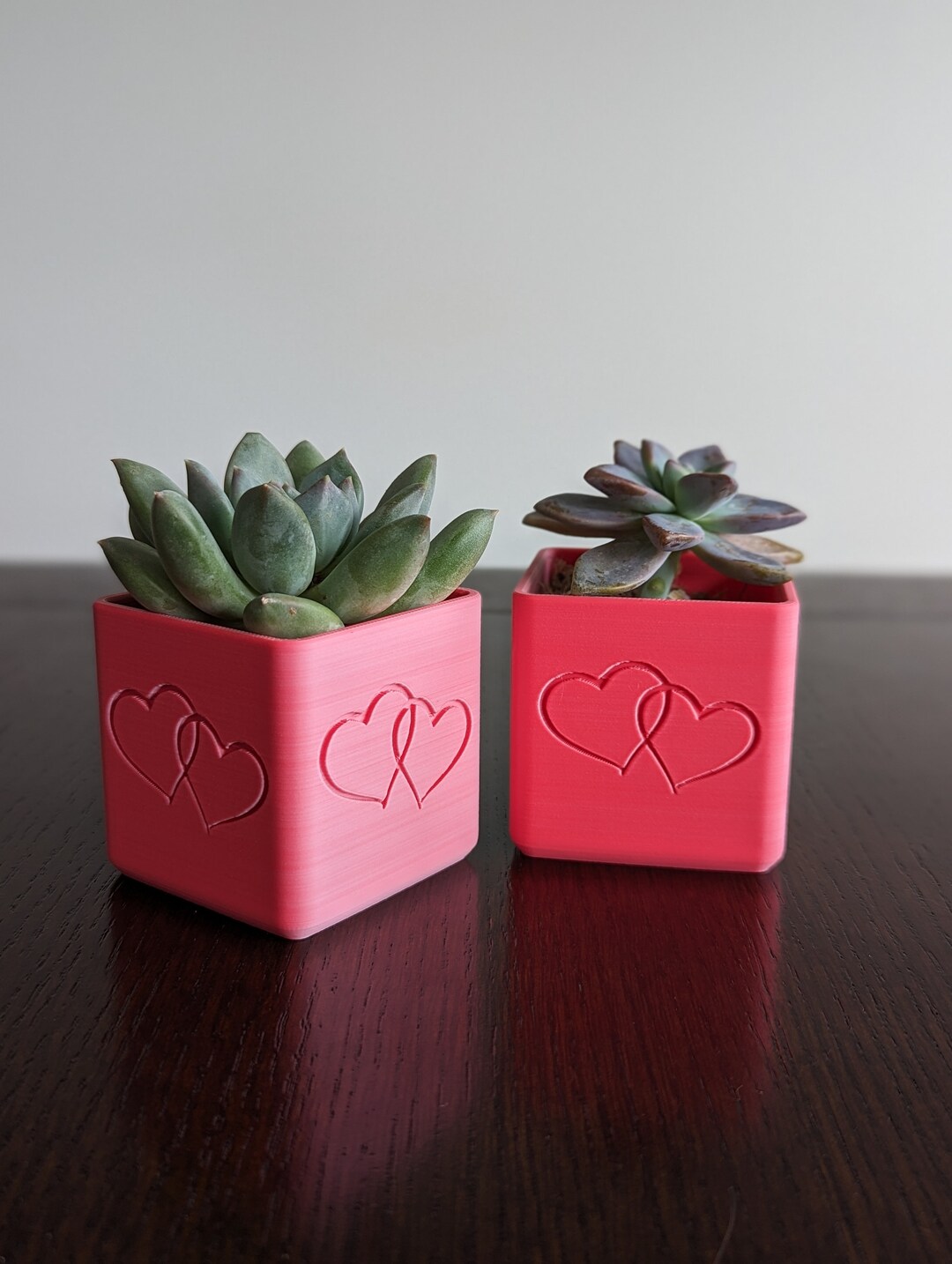 Valentine's Day Indoor Planter Friendship Planter Valentine's Day Decor ...