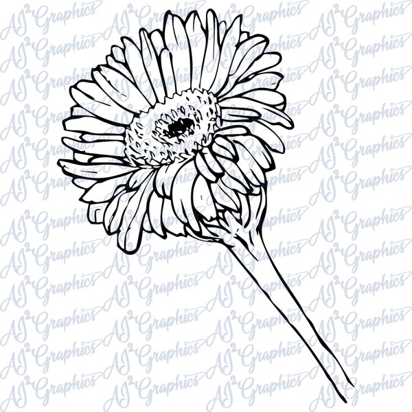 Gerber Daisy - Etsy