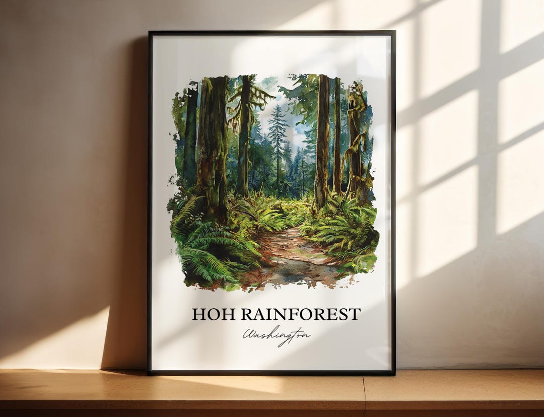 Hoh Rain Forest Art, Jefferson County WA Print, Olympic National Park ...