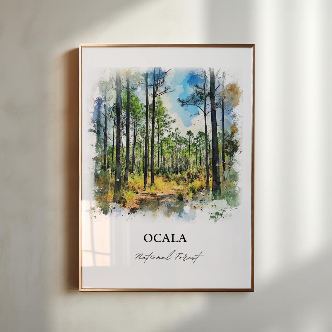 Ocala National Forest Art, Marion County Print, Orlando Watercolor Art ...