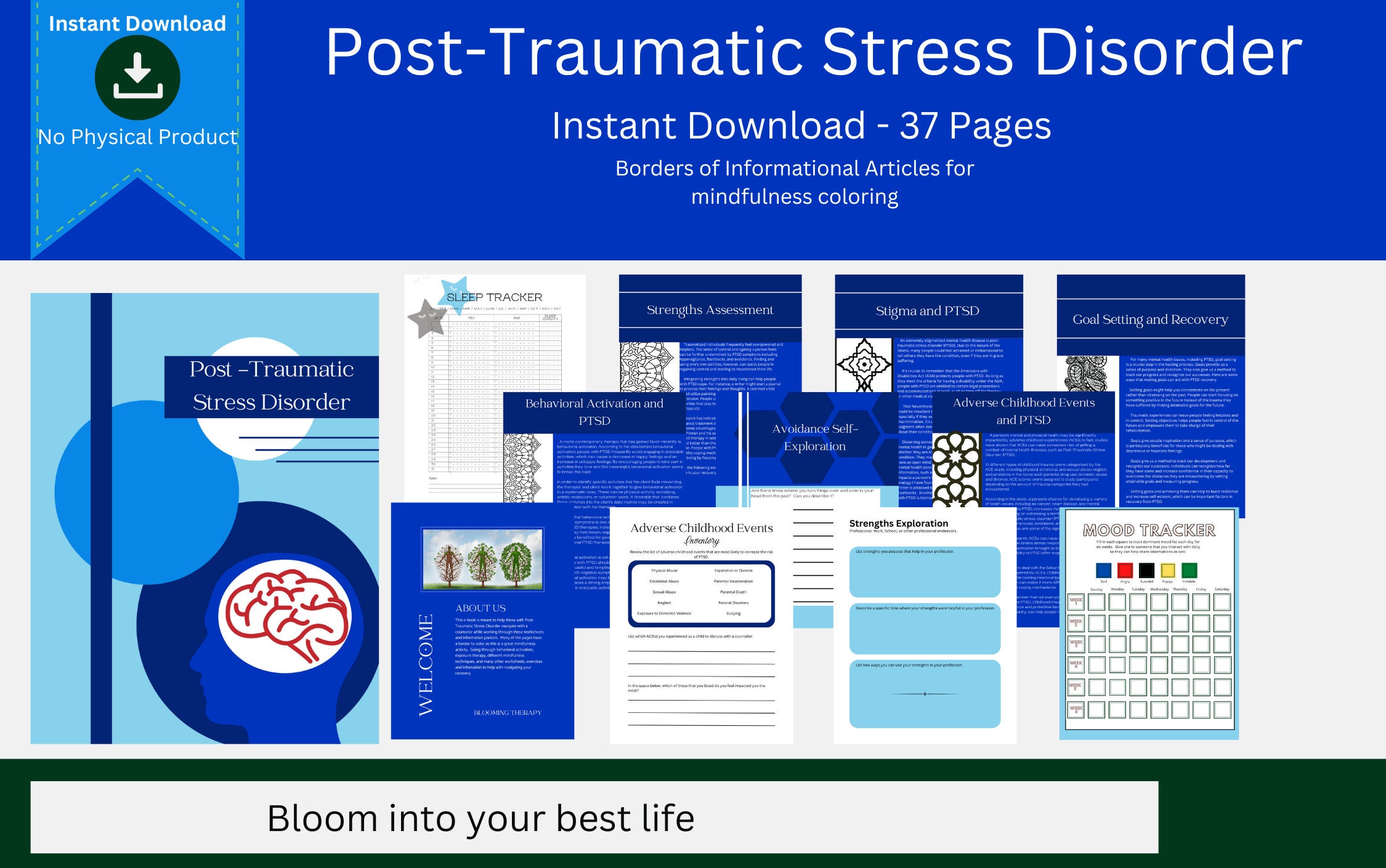 Post-traumatic Stress Disorder Workbook | Trauma Informed | Stress ...