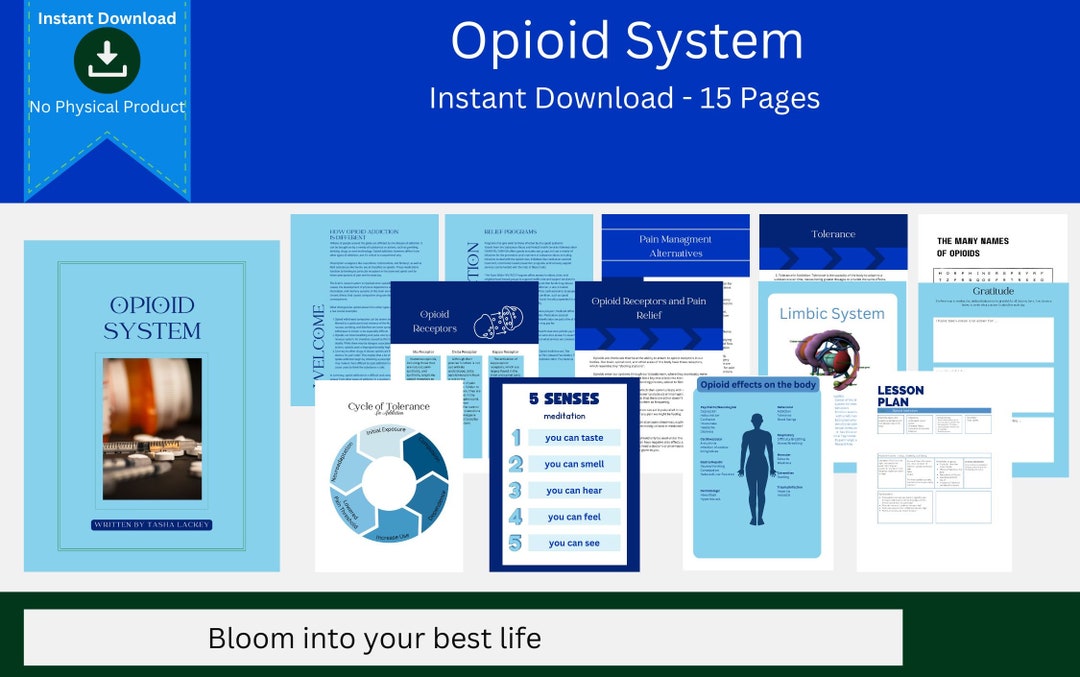 Opioid System Psychoeducation Substance Abuse Group Addiction Group ...