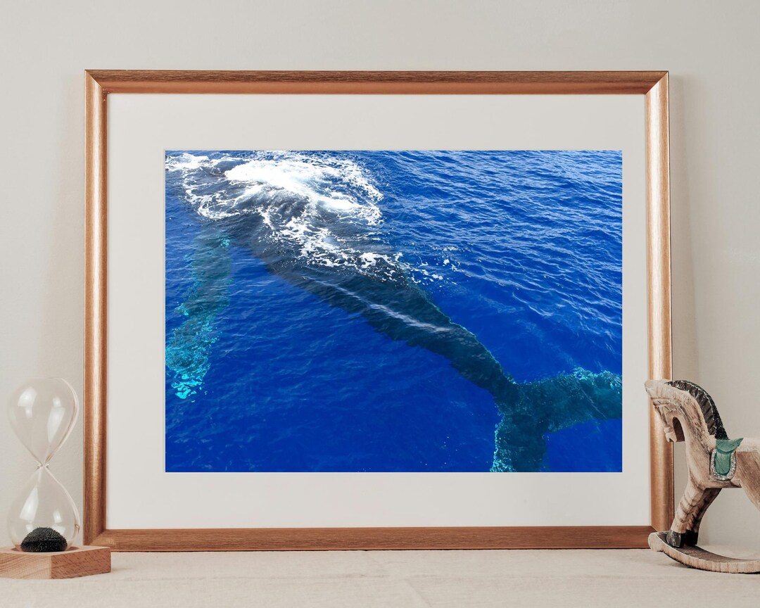 Humpback Whale in Hawaii Landscape or Portrait Photo, | Photography ...