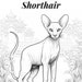 10 Enchanting Cats Coloring Pages, Printable Coloring Page, Printable ...
