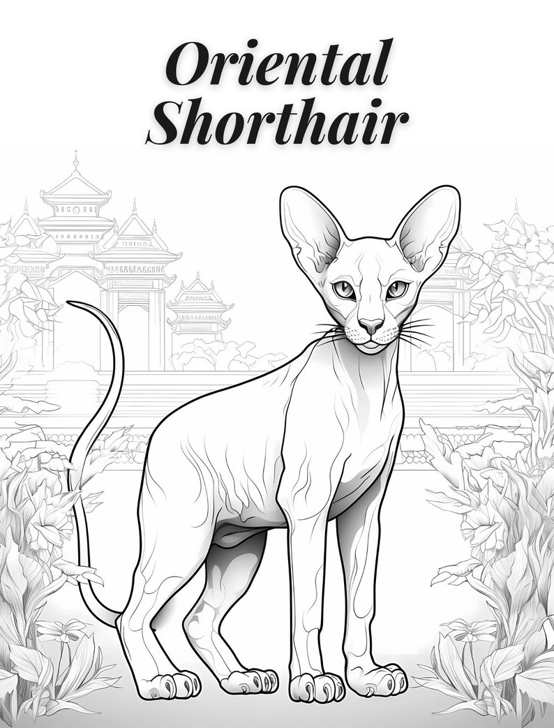 10 Enchanting Cats Coloring Pages, Printable Coloring Page, Printable ...