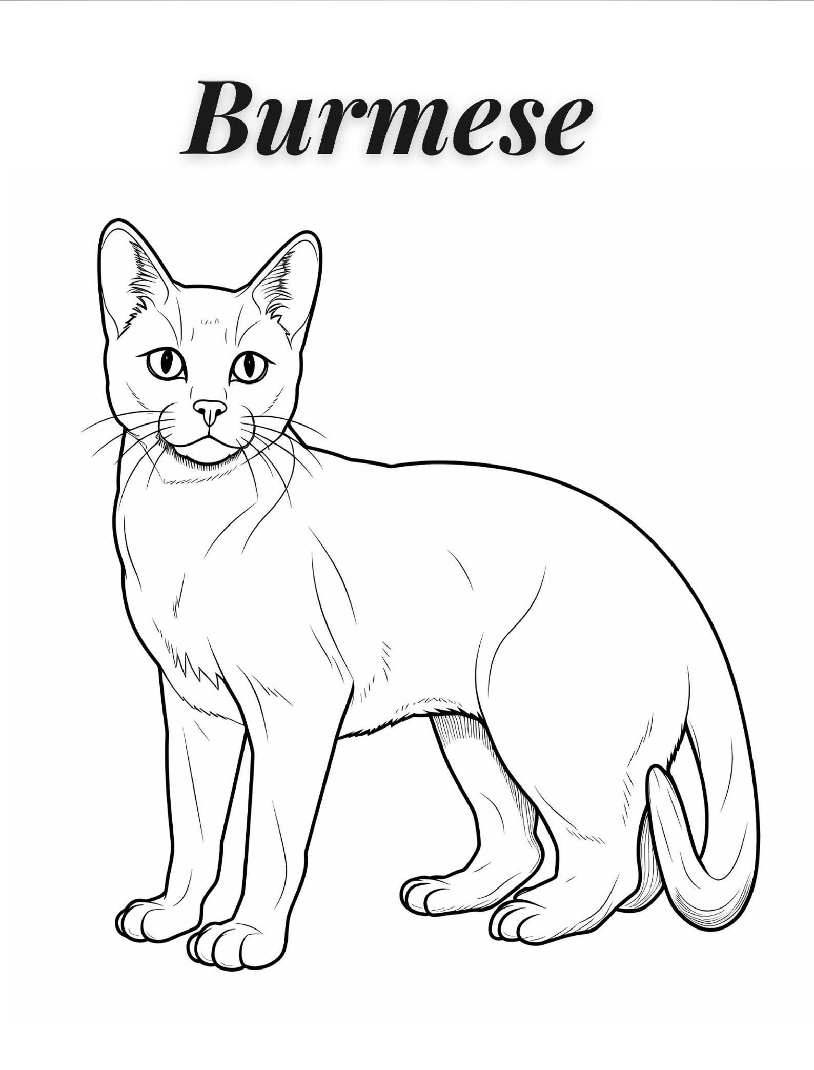 10 Enchanting Cats Coloring Pages, Printable Coloring Page, Printable ...