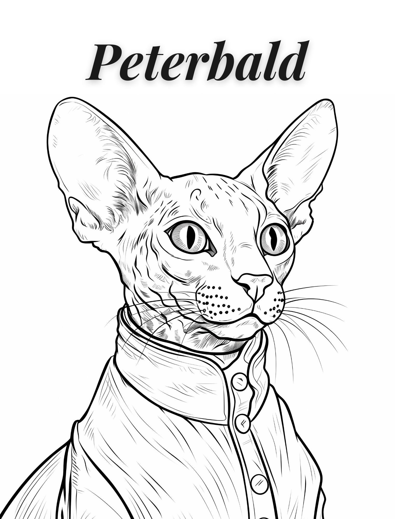 10 Enchanting Cats Coloring Pages, Printable Coloring Page, Printable ...
